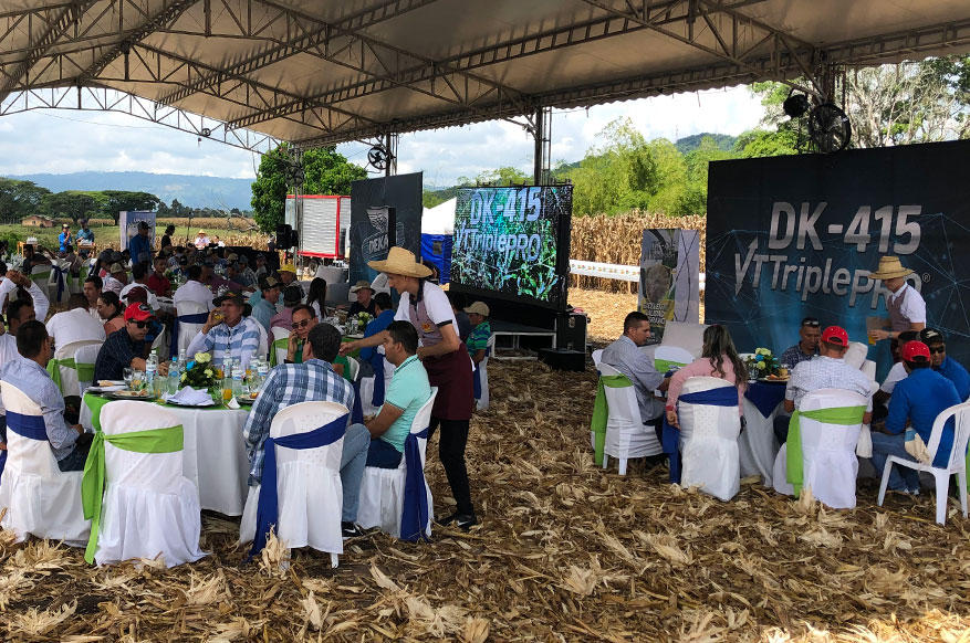 LANZAMIENTO DK 415 VT TRIPLE PRO