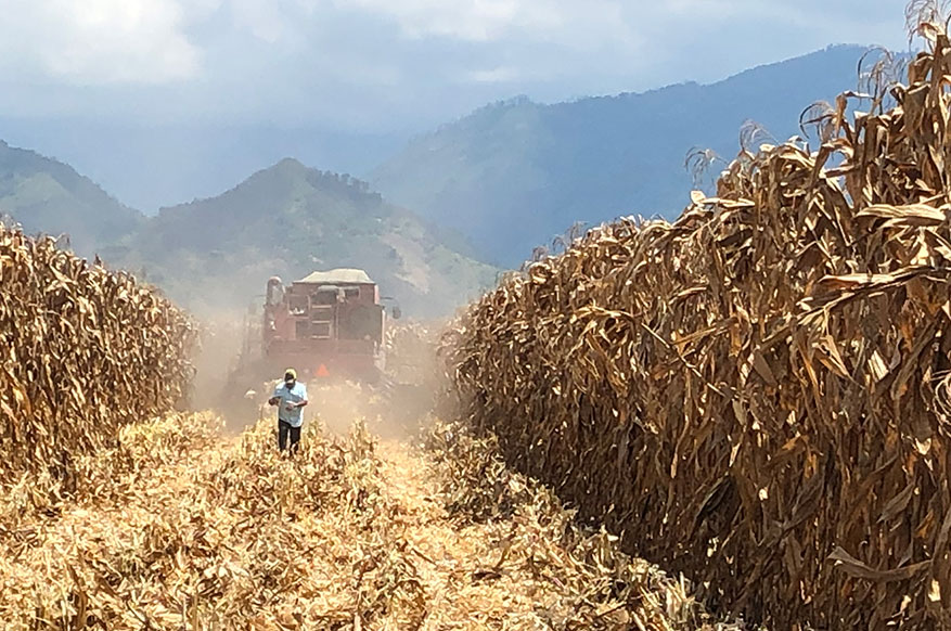 LANZAMIENTO DK 415 VT TRIPLE PRO