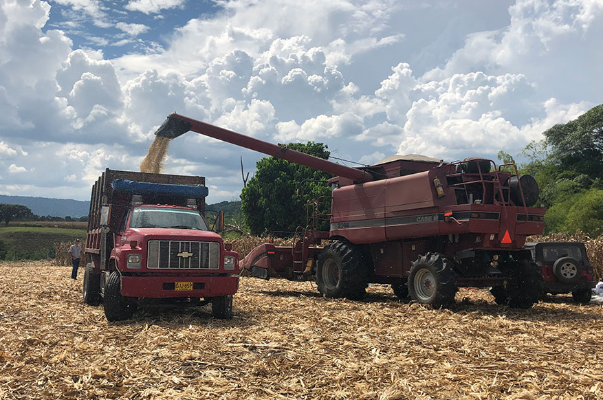 LANZAMIENTO DK 415 VT TRIPLE PRO