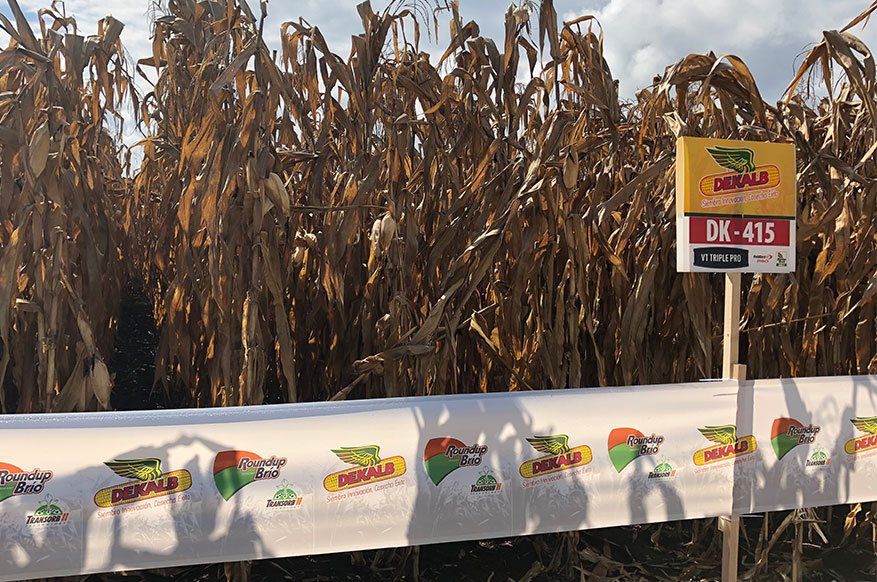 LANZAMIENTO DK 415 VT TRIPLE PRO