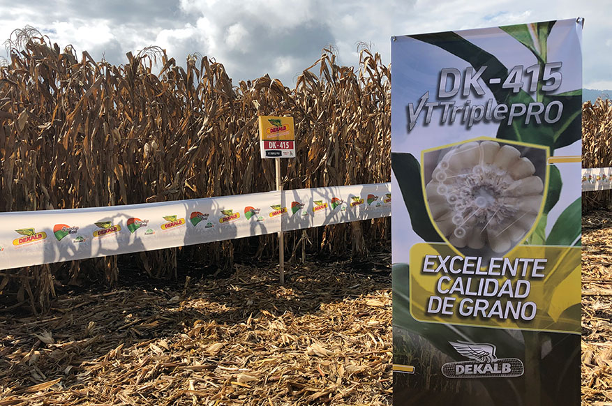 LANZAMIENTO DK 415 VT TRIPLE PRO