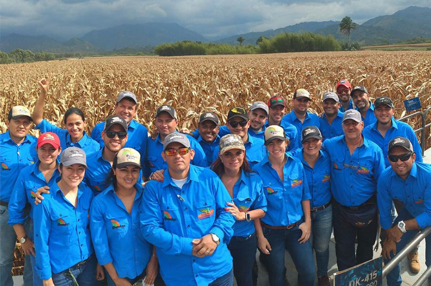 LANZAMIENTO DK 415 VT TRIPLE PRO