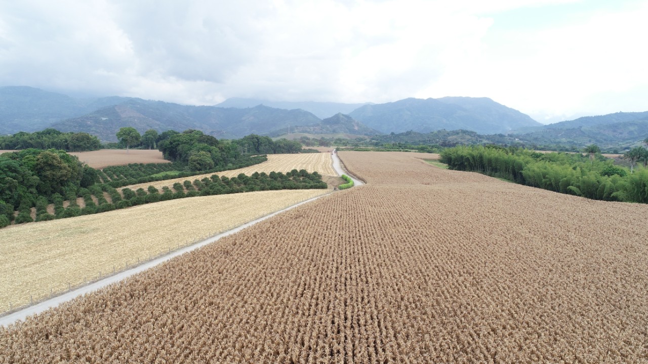 LANZAMIENTO DK 415 VT TRIPLE PRO