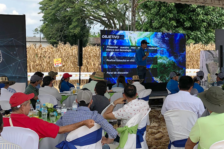 LANZAMIENTO DK 415 VT TRIPLE PRO